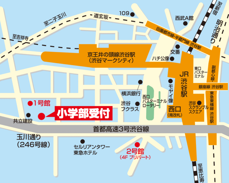【2025最新版】SAPIX小学部 渋谷校の合格実績まとめ｜サピログ